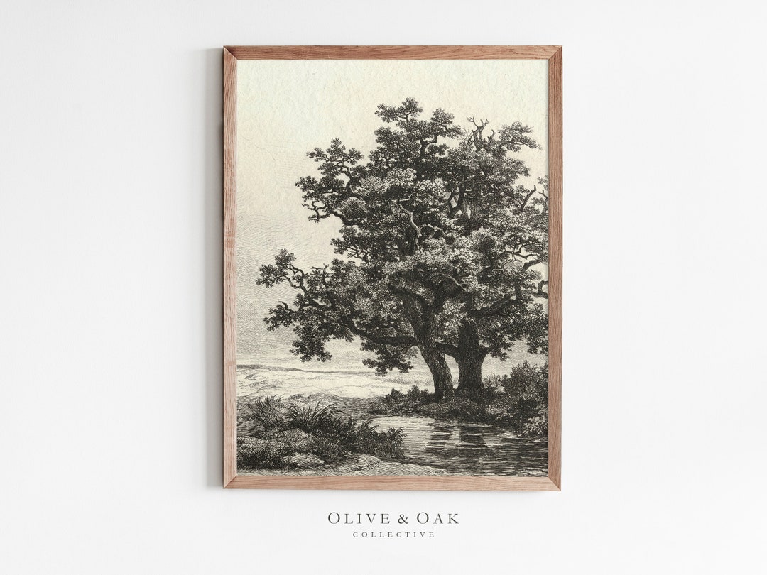 Vintage Tree Etching / Neutral Wall Art / Vintage Tree Sketch ...