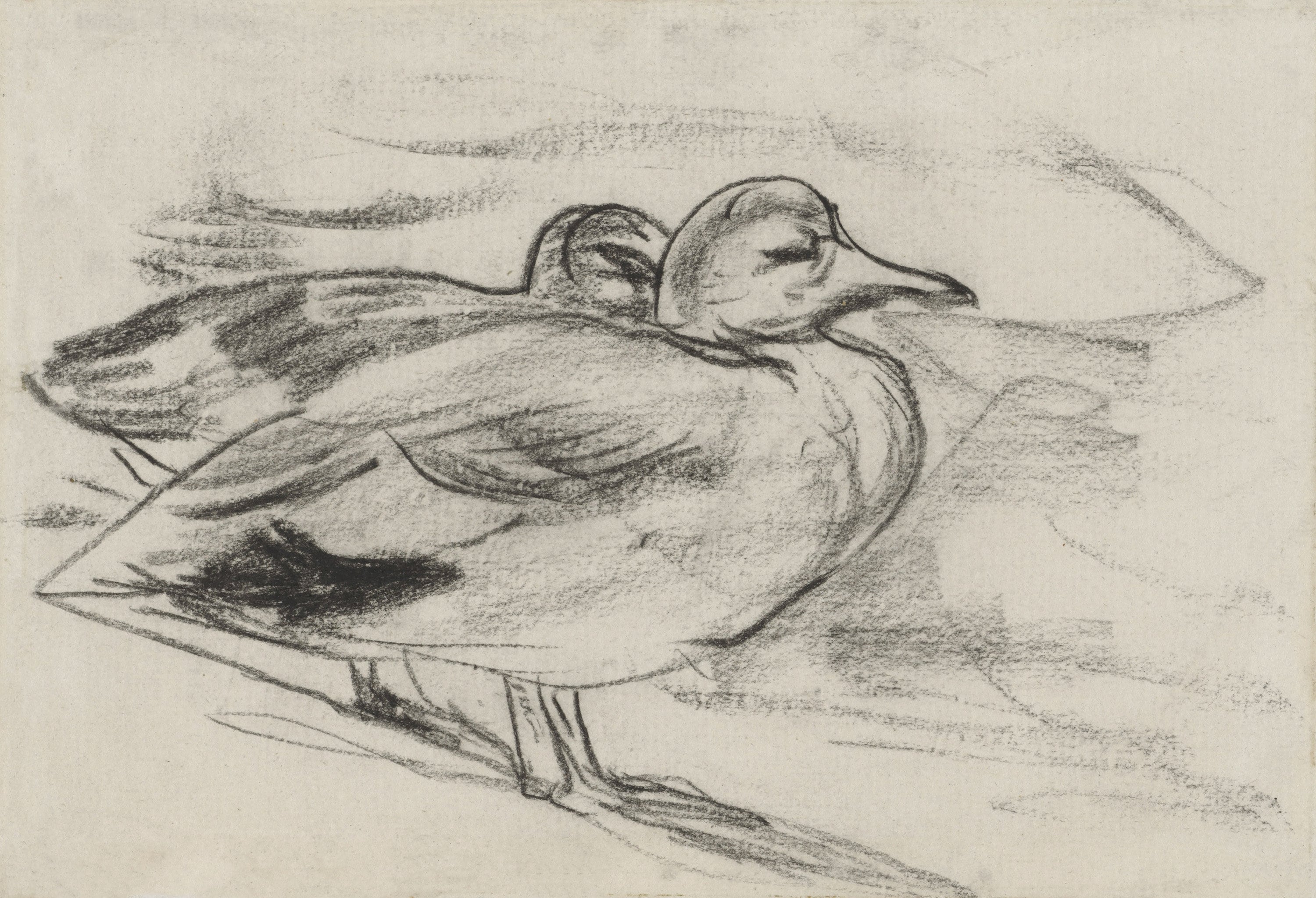 Vintage Duck Sketch PRINTABLE / Bird Drawing Art Print / - Etsy