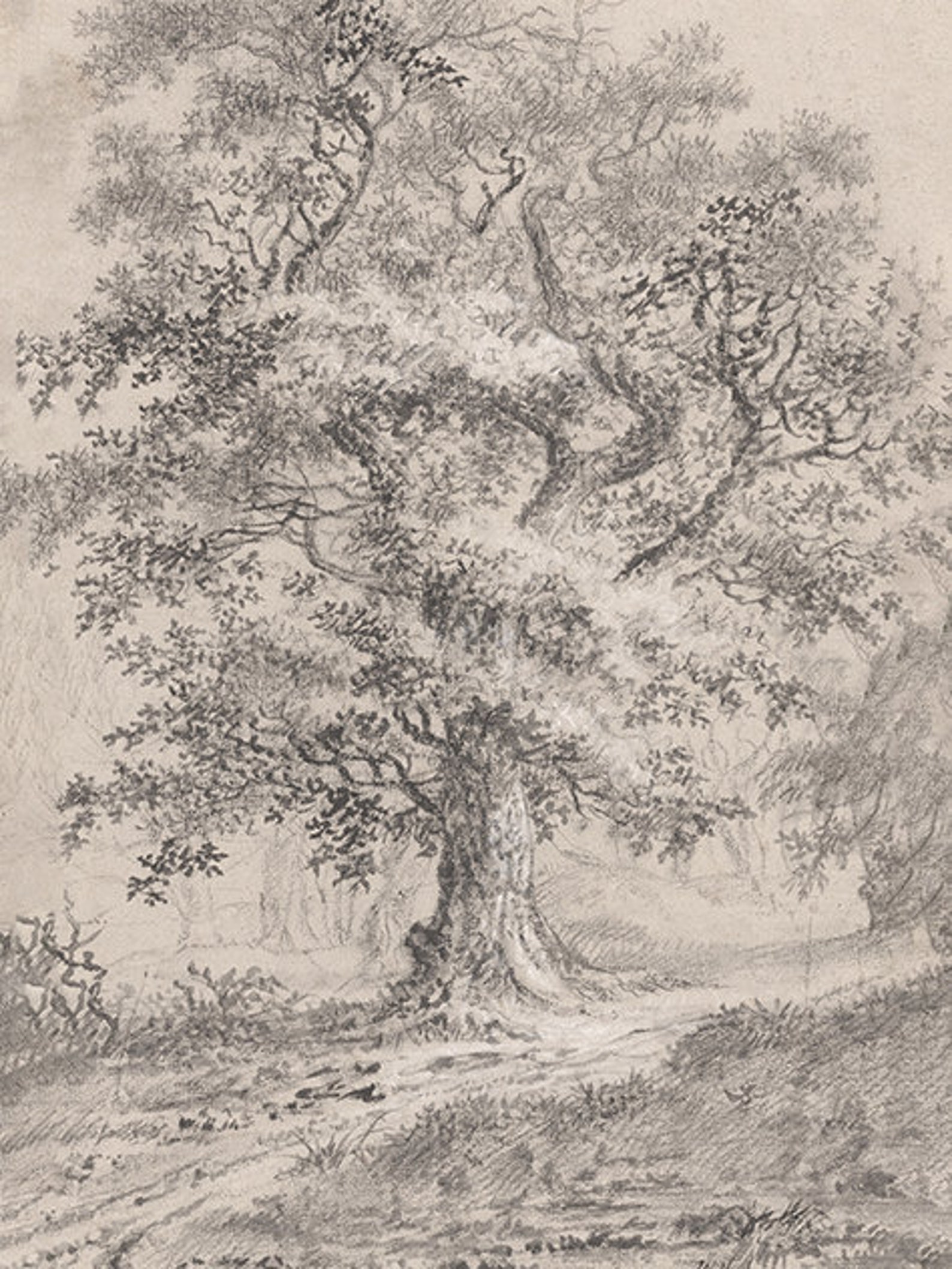 Vintage Tree Sketch / Rustic Tree Drawing / Neutral Wall Art Printable ...