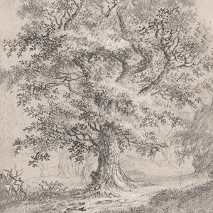 Vintage Tree Sketch / Rustic Tree Drawing / Neutral Wall Art Printable ...