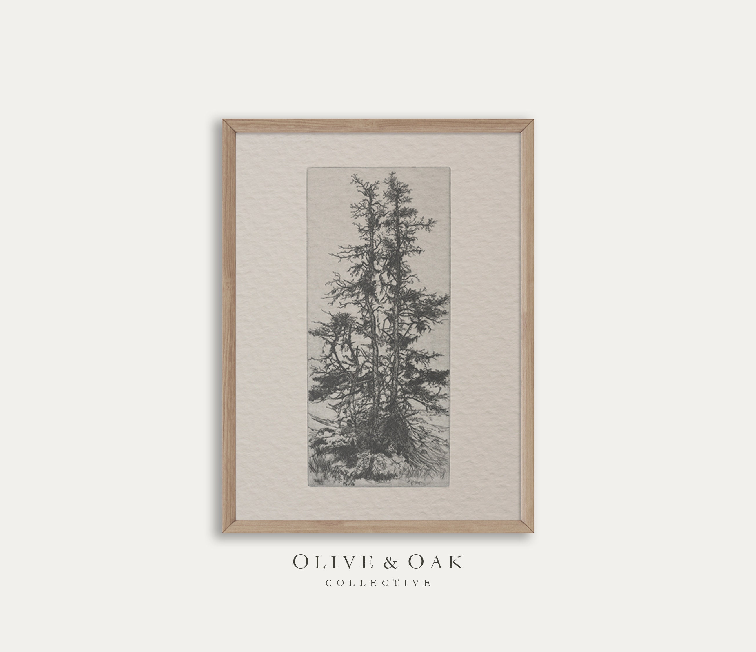 Vintage Tree Sketch Print / Minimalist Tree Etching PRINTABLE | Etsy