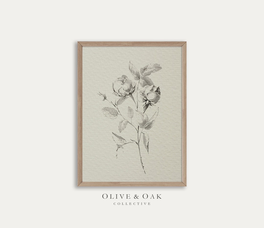 Vintage Flower Drawing Print / Rustic Botanical Sketch - Etsy