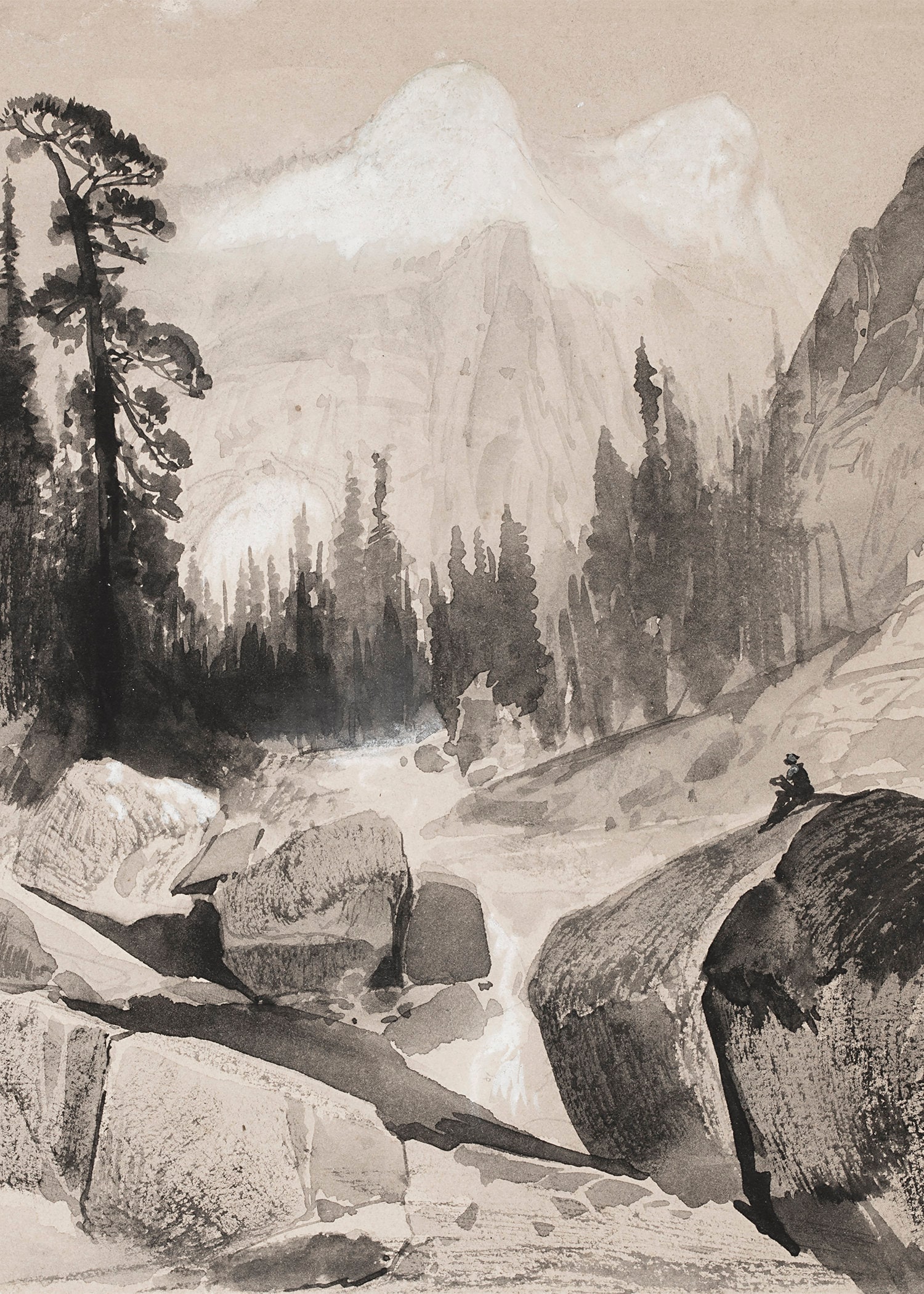 Vintage Nature Drawing / Rustic Woodland Art Print / Digital PRINTABLE ...