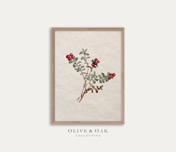 Winter Botanical Print / Winter Branch Drawing / Cabin Decor - Etsy