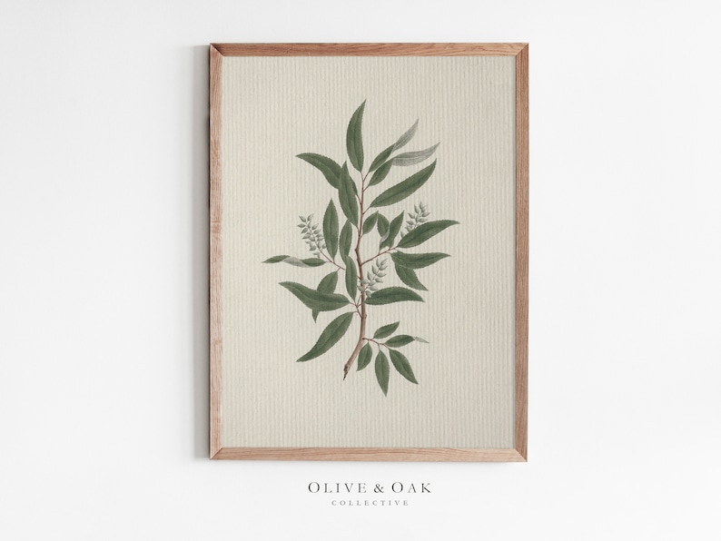 Vintage Botanical Tree Branch Print / Country Farmhouse Decor - Etsy