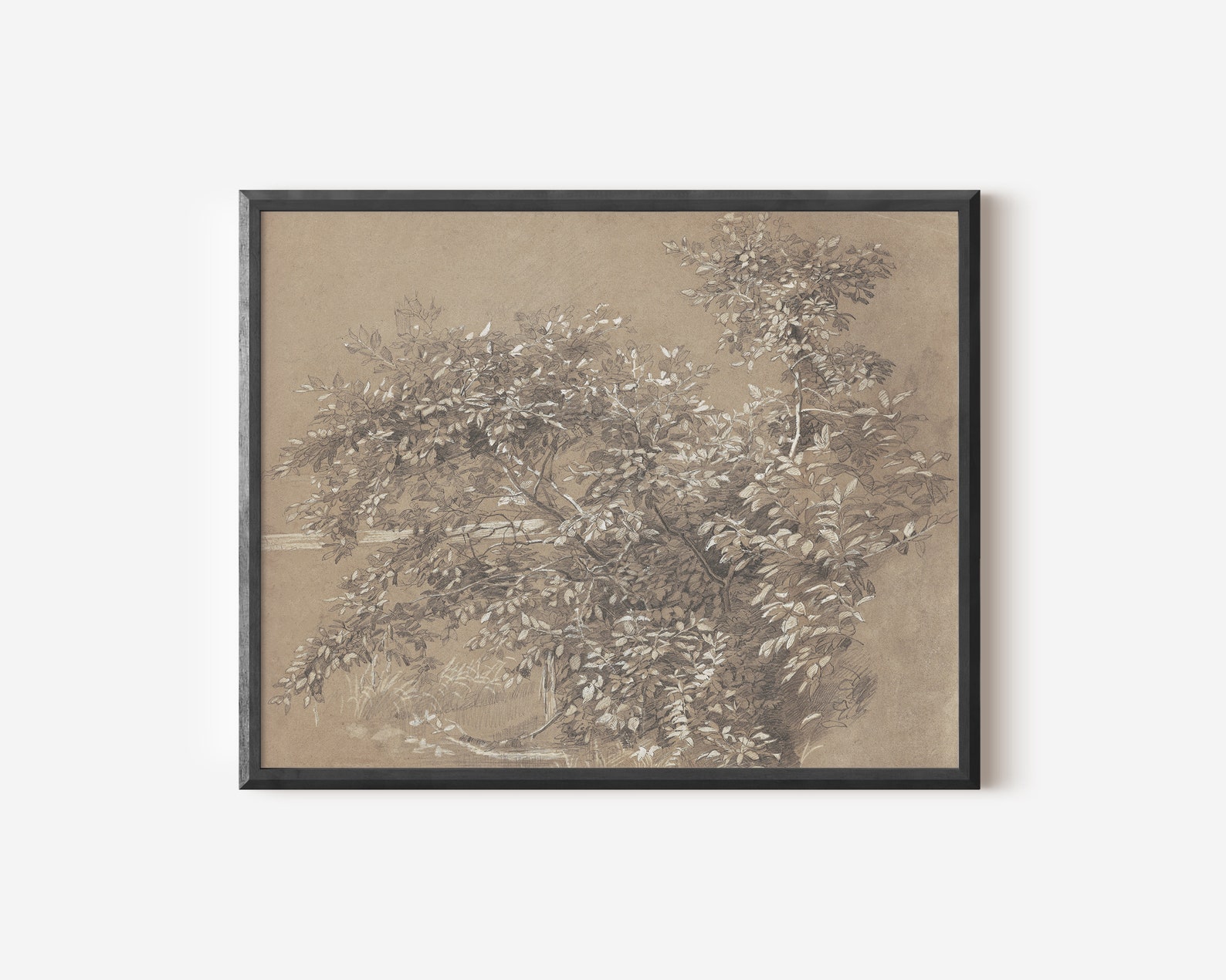 Neutral Art Print / Antique Tree Drawing / Botanical Sketch PRINTABLE ...