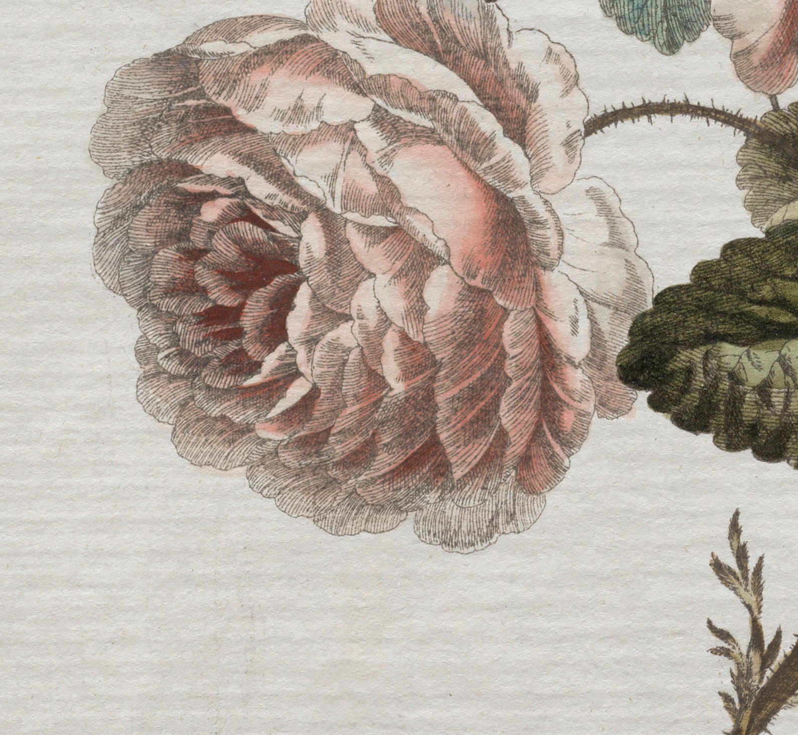 Vintage Blush Rose Painting / Muted Botanical Print / Soft Neutral ...