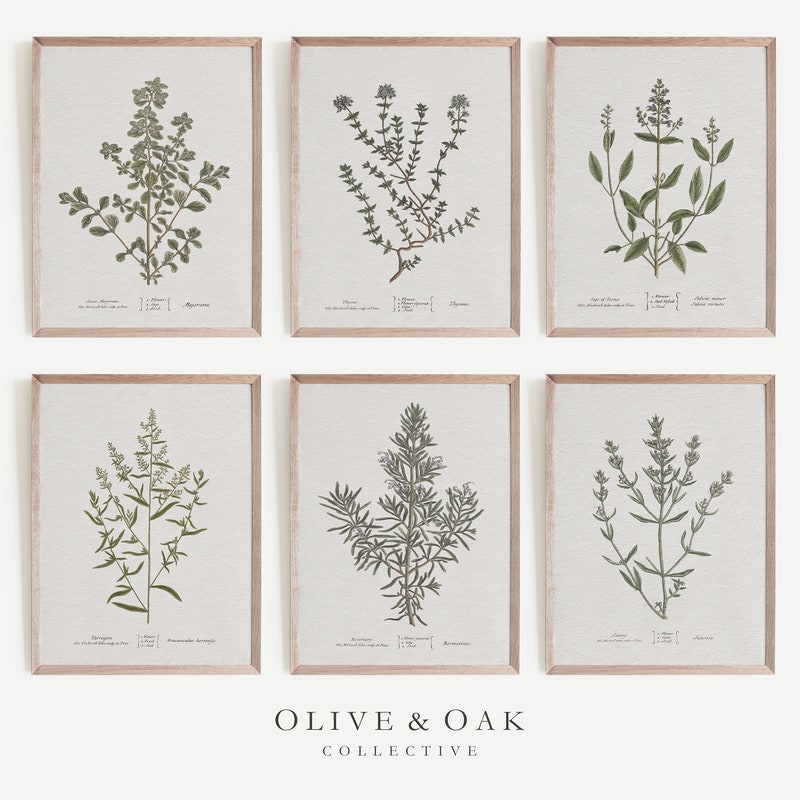 Herb Press - Etsy UK