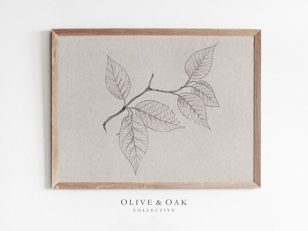 Vintage Branch Sketch / Neutral Botanical Drawing / Simple Wall Art ...