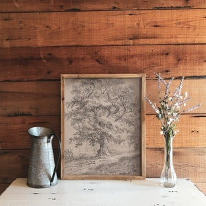 Vintage Tree Sketch / Rustic Tree Drawing / Neutral Wall Art Printable ...