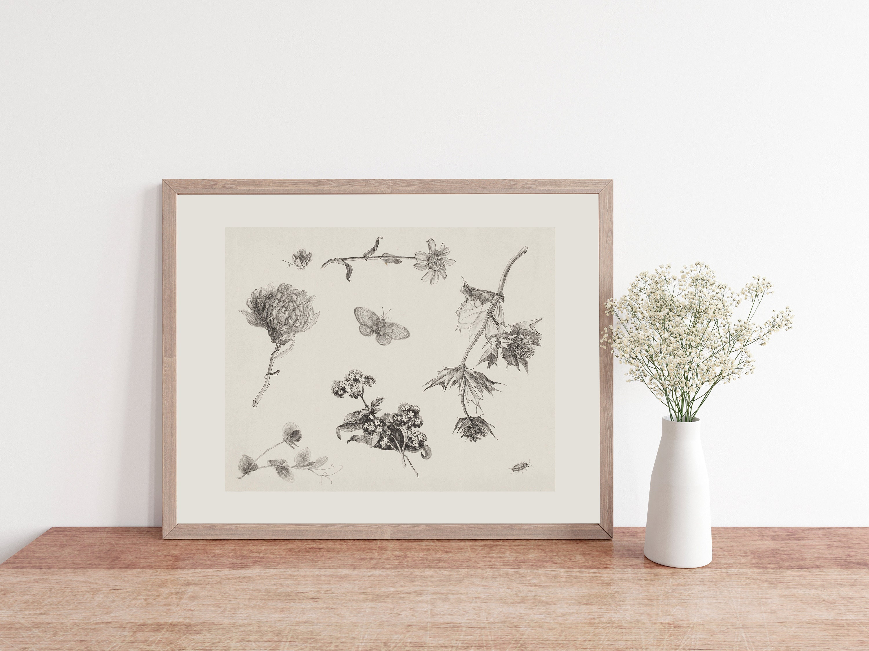 Rustic Flower Sketch / PRINTABLE Antique Botanical Drawing / - Etsy