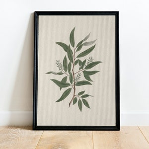 Vintage Botanical Tree Branch Print / Country Farmhouse Decor PRINTABLE ...