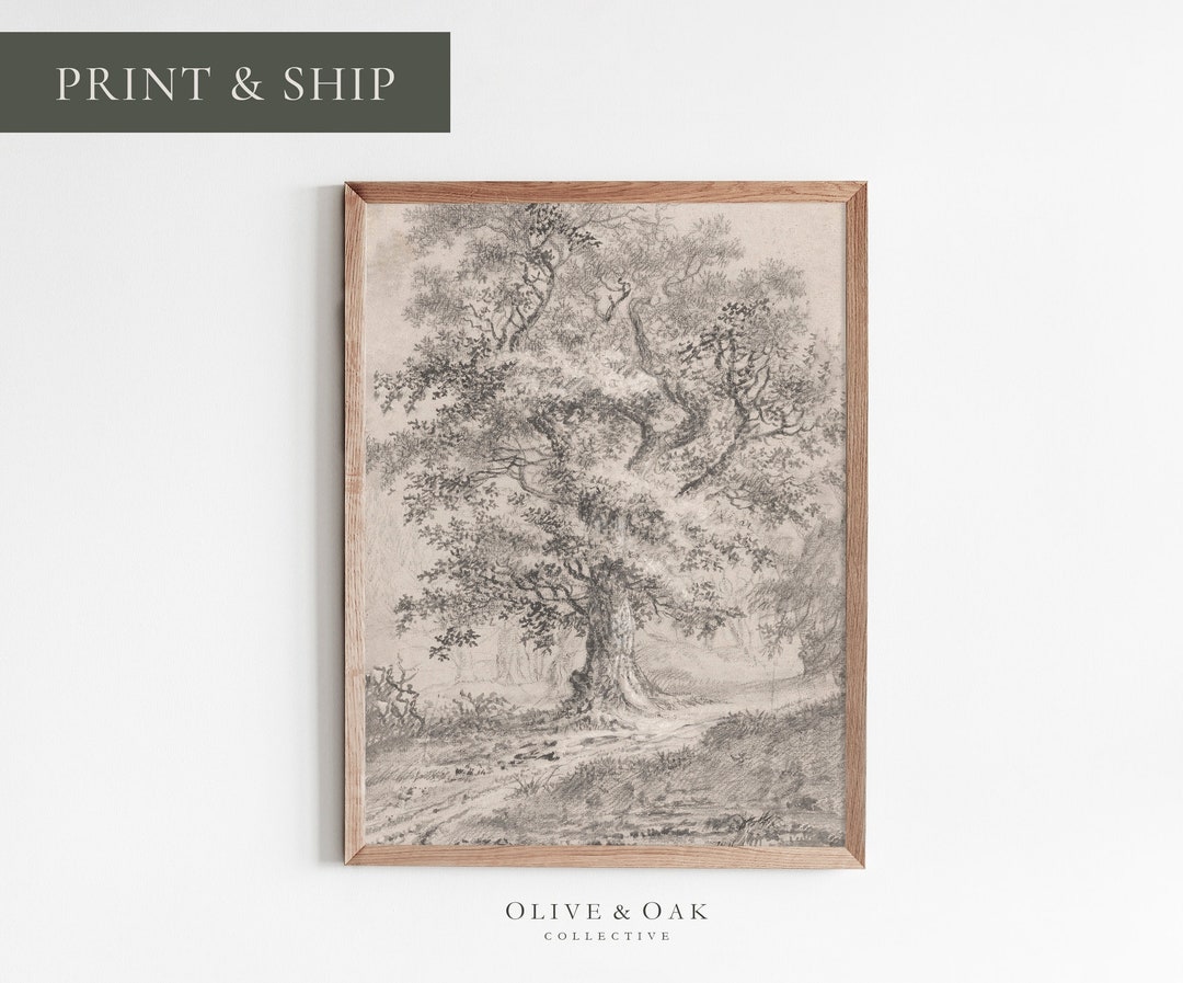 Vintage Tree Sketch / Rustic Tree Drawing / Neutral Wall Art Printed or ...