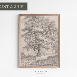 Vintage Tree Sketch / Rustic Tree Drawing / Neutral Wall Art Printed or ...