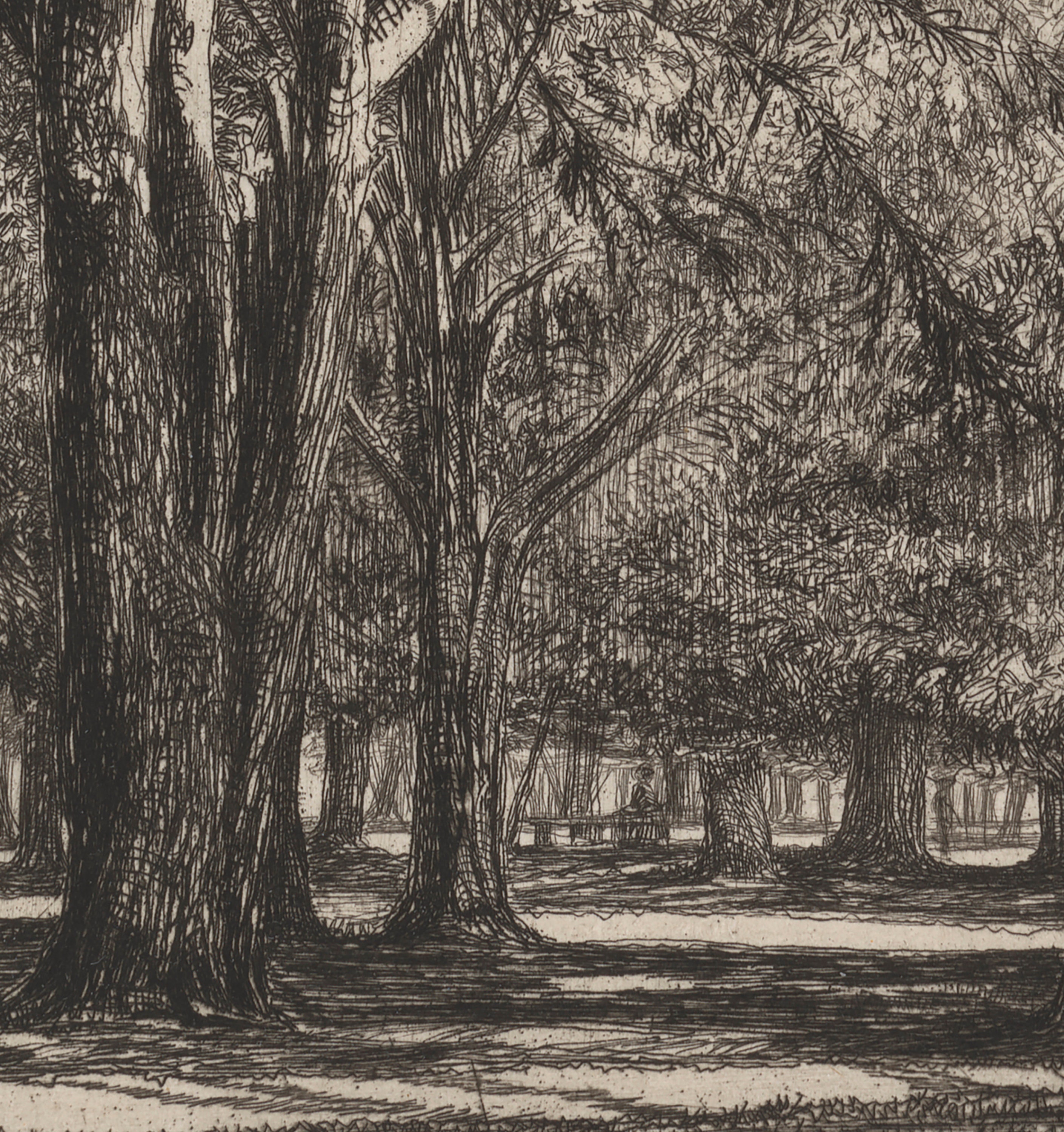 Vintage Forest Drawing / PRINTABLE Rustic Tree Sketch / | Etsy