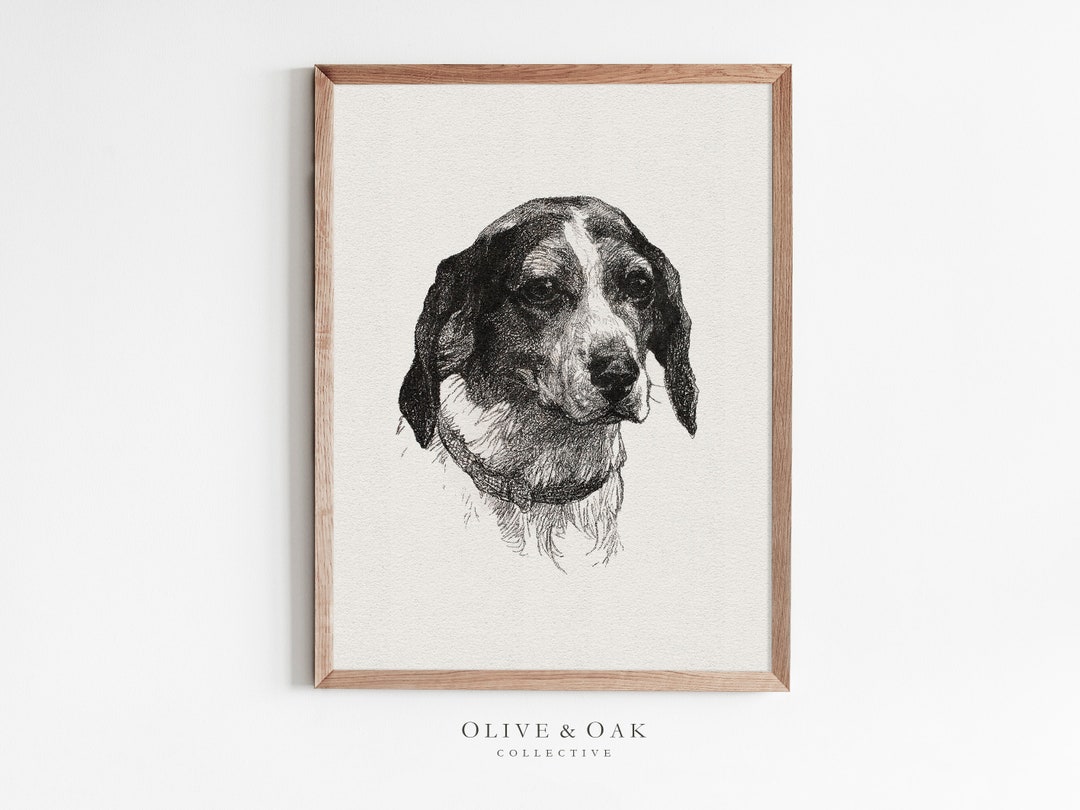 Dog Portrait Drawing / Vintage Sketch Artwork / Neutral Wall Art / Boys ...