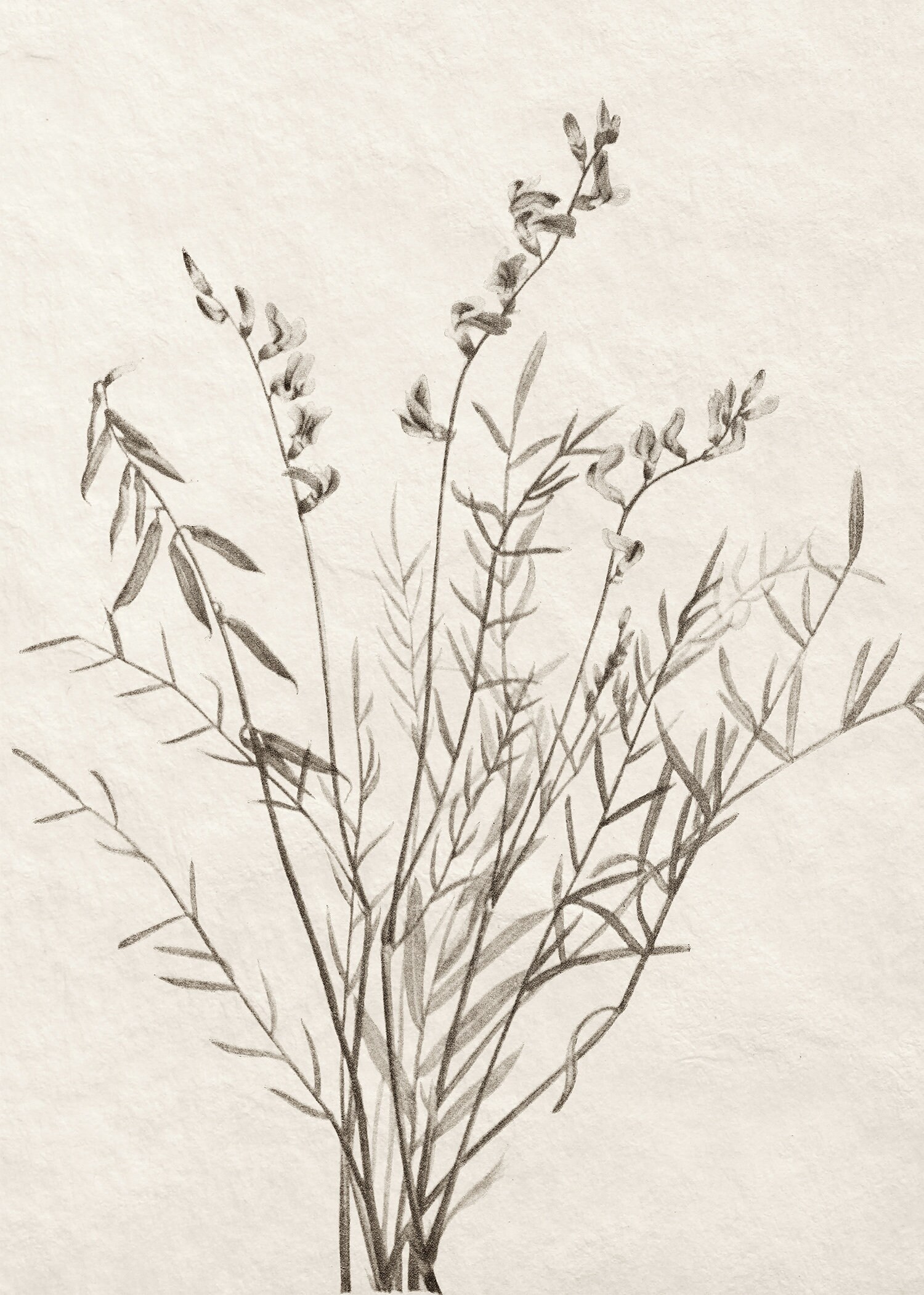 Vintage Botanical Print / Floral Screen Print / Neutral Decor PRINTABLE ...