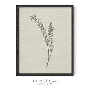 Vintage Botanical Drawing / Neutral Sketch / Simple Artwork Printed or ...