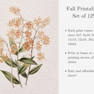 Set of 12 Fall Art Prints / Autumn Decor Art Prints Set / Printable ...