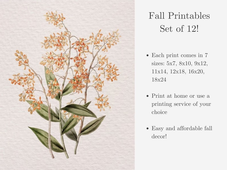 Set of 12 Fall Art Prints / Autumn Decor Art Prints Set / - Etsy