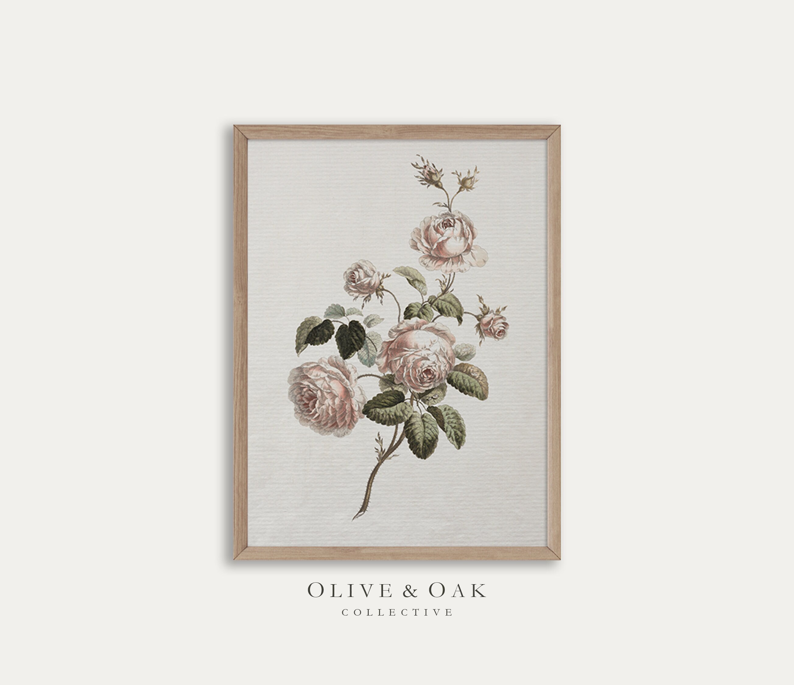 Vintage Blush Rose Painting / Muted Botanical Print / Soft | Etsy