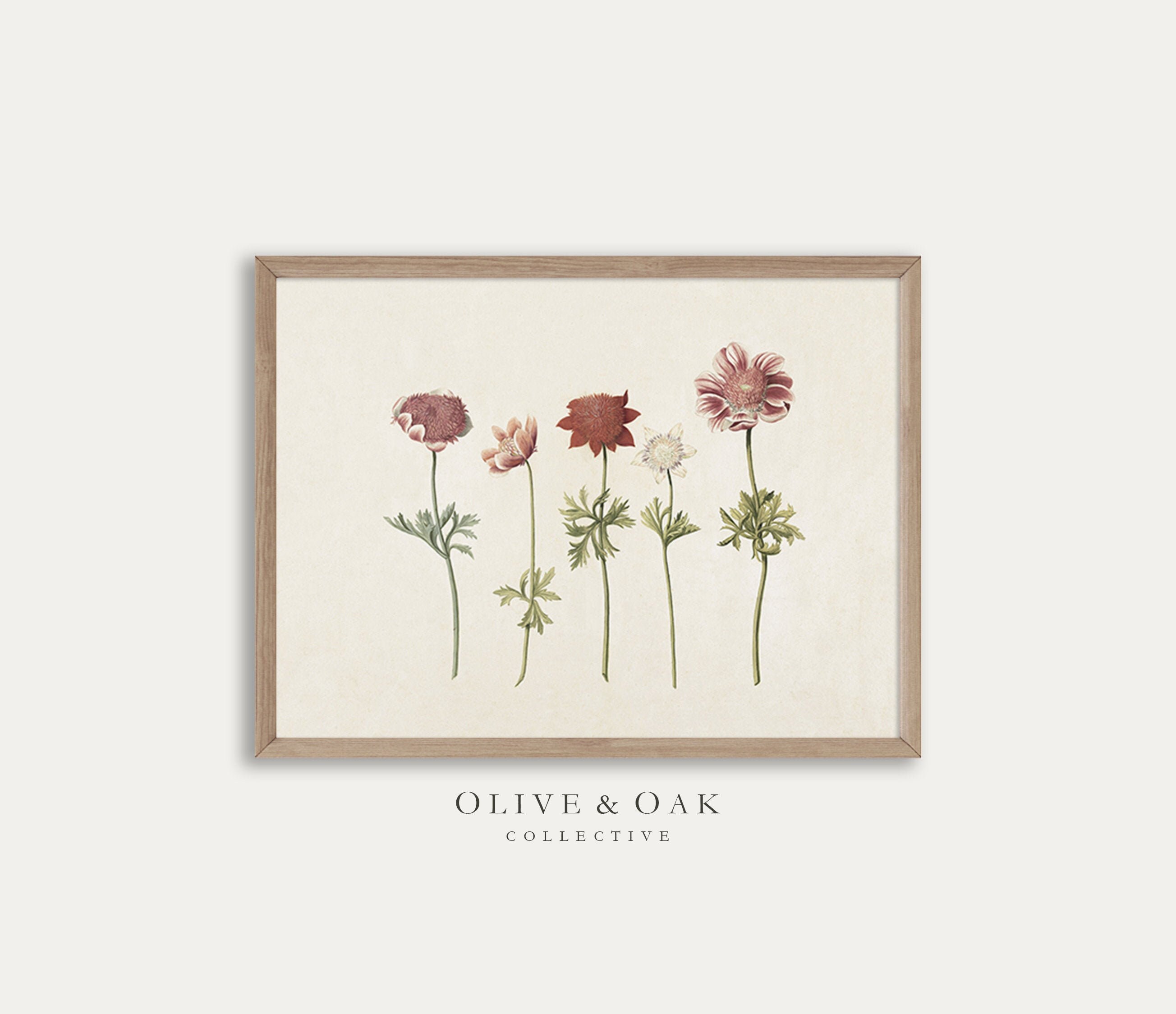 Antique Flower Drawing / Rustic Botanical Drawing / Country - Etsy