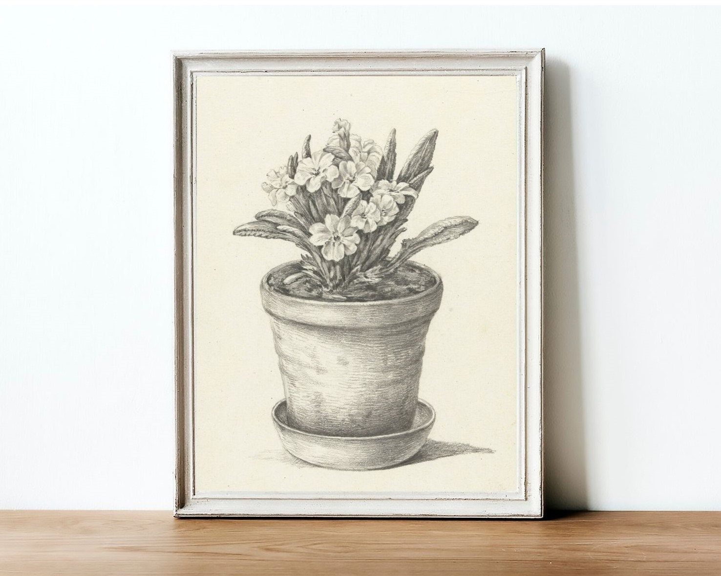 Botanical Sketch Vintage Print / Antique Flower Drawing Farmhouse ...