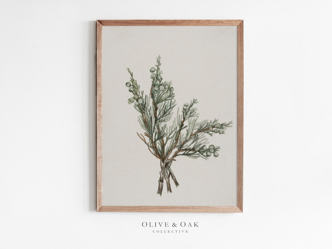 Vintage Sketch Art / Winter Branch Drawing / Nature Print Digital ...