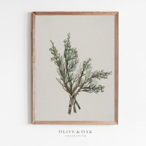 Vintage Sketch Art / Winter Branch Drawing / Nature Print Digital ...