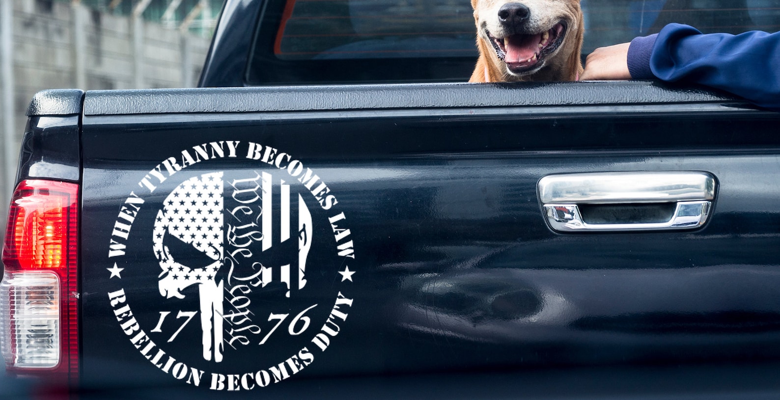 1776 Skull Vinyl Decal | Tyranny Rebellion 2nd Amendment - Etsy