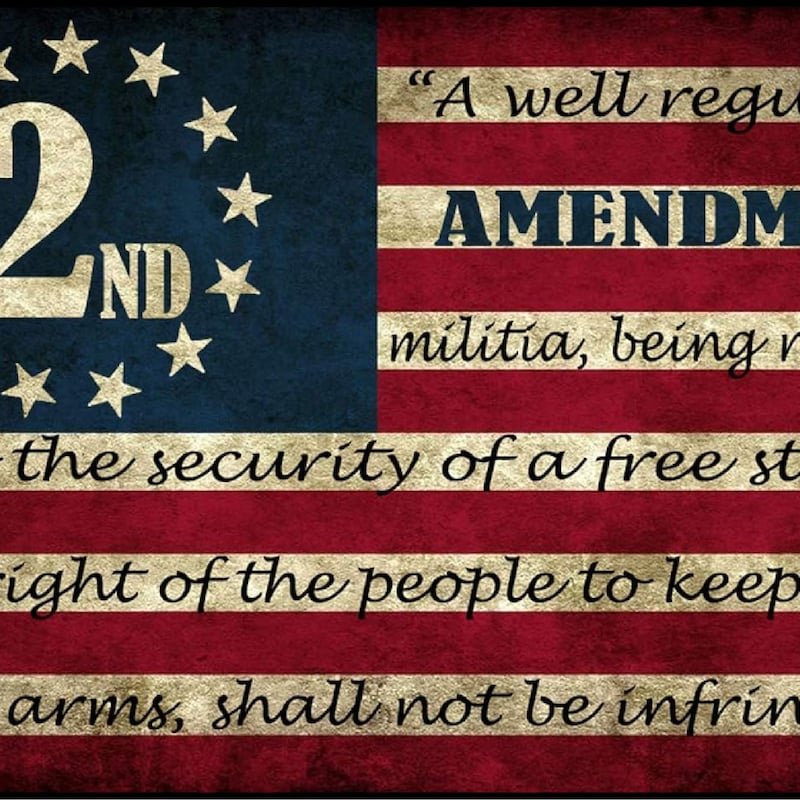 Constitution Decals - Etsy