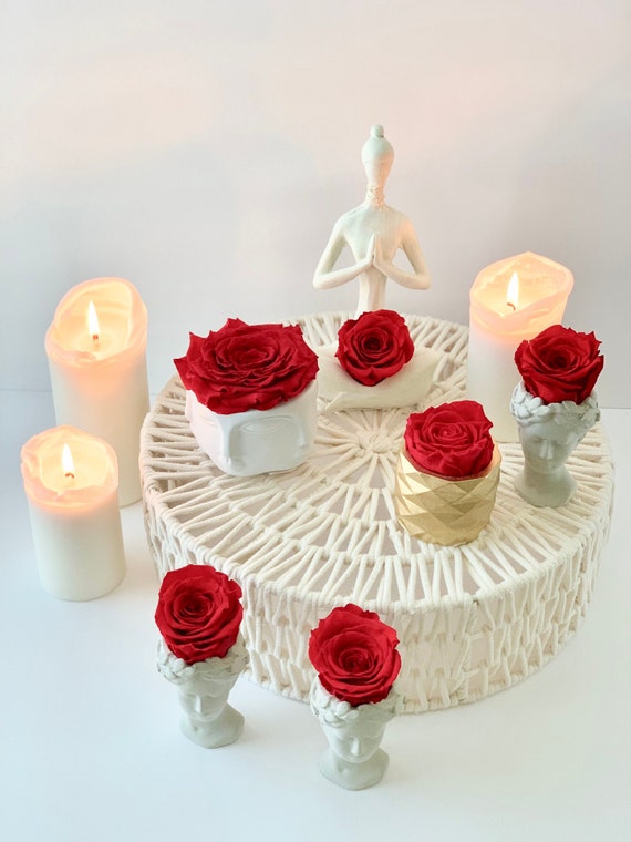 Greek Goddess Female Statue Head With Preserved Rose | Etsy