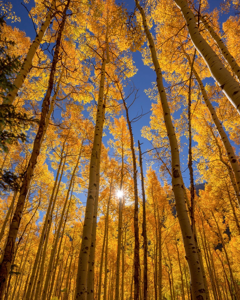 Fine Art Landscape Photography - 8x10 Matted Print - Etsy