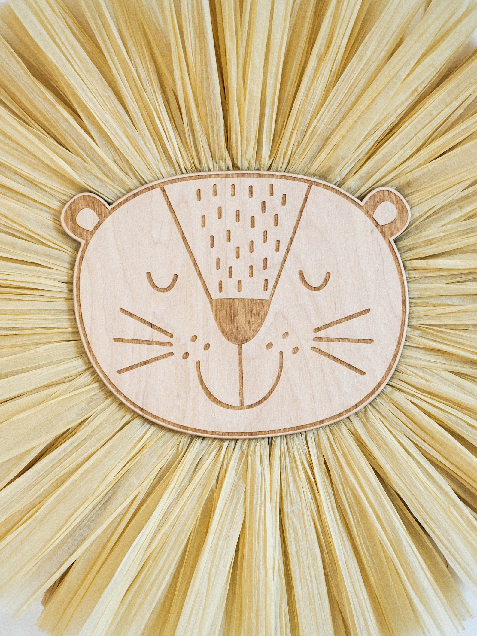 Lion Face Raffia Wall Hanging Safari Jungle Nursery Lion | Etsy