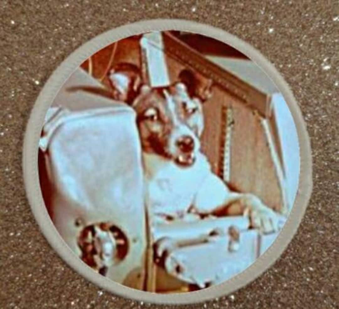 3 Inch Laika First Dog in Space Cosmonaut Astronaut Patch Badge - Etsy