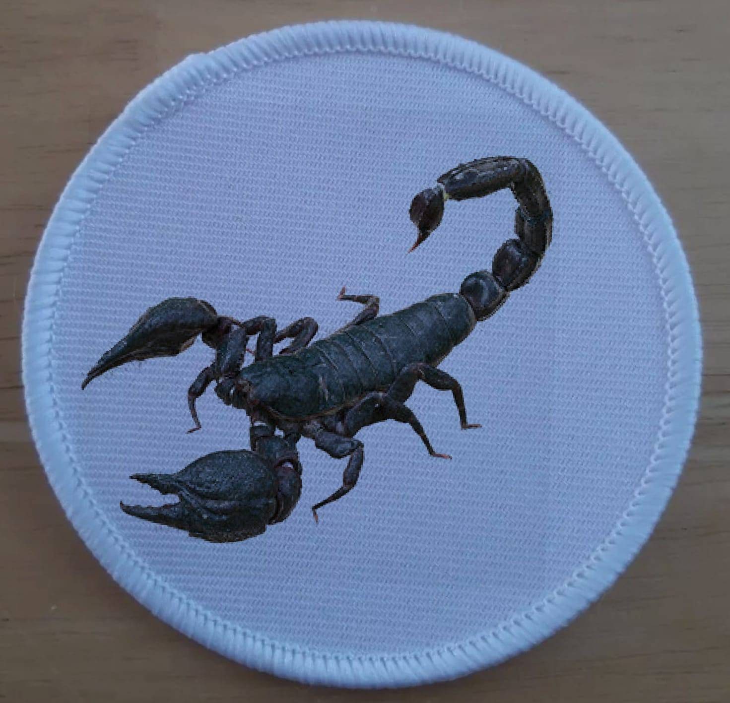 3 inch Scorpion Iron or Sew on Patch Badge | Etsy