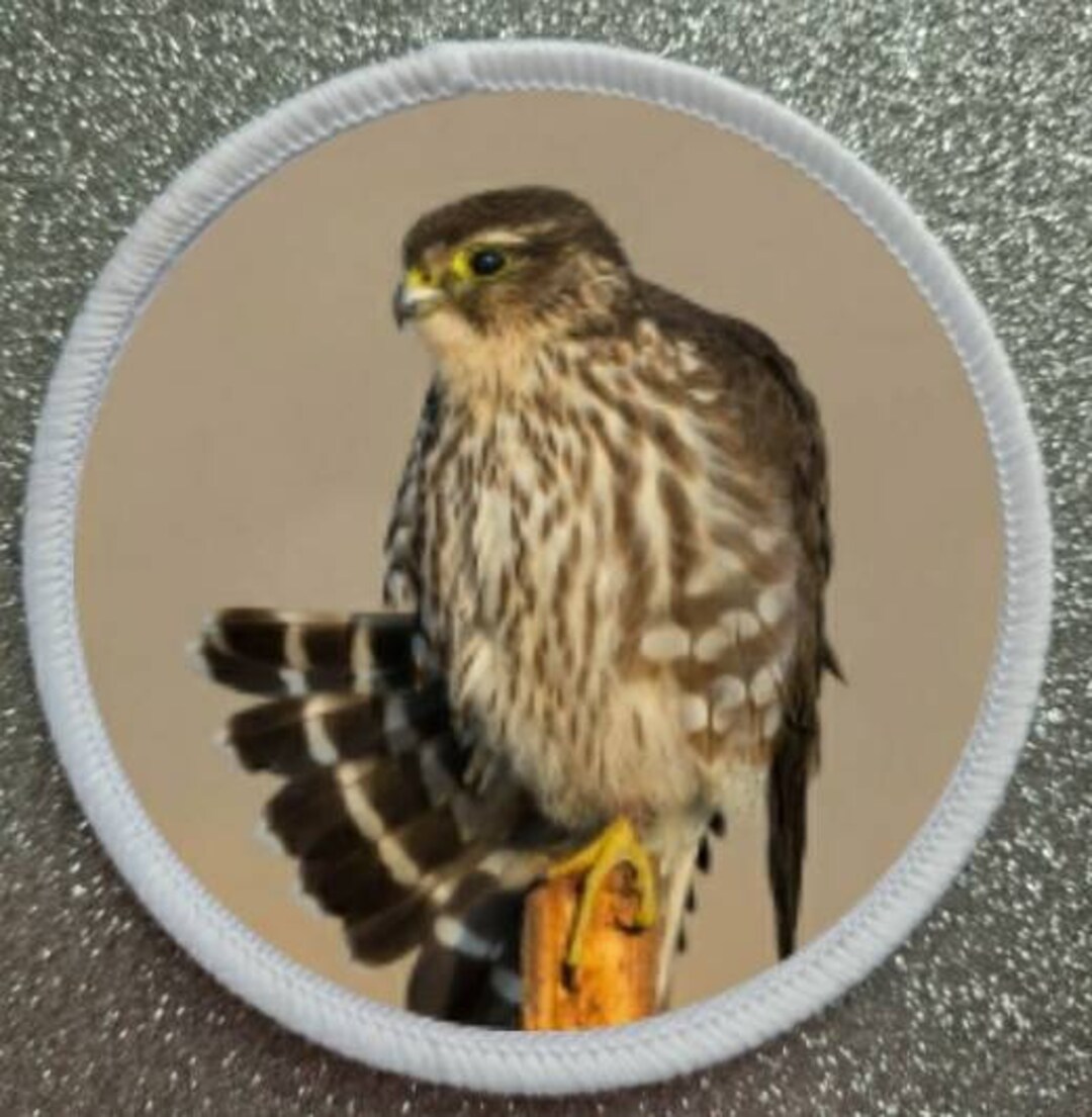 3 Inch Birds of Prey Series Merlin Patch Badge - Etsy