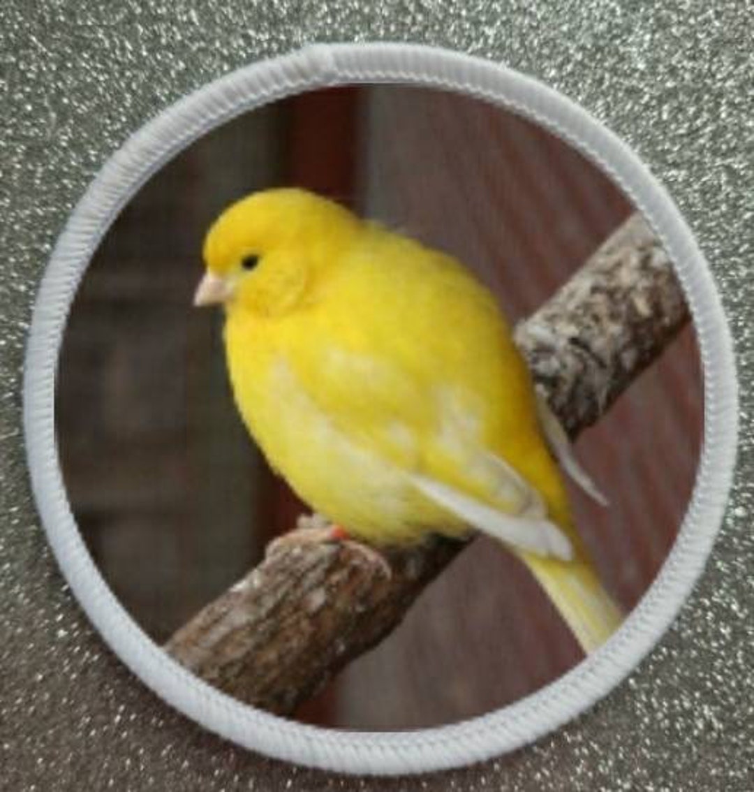 3 Inch Canary Bird Patch Badge - Etsy