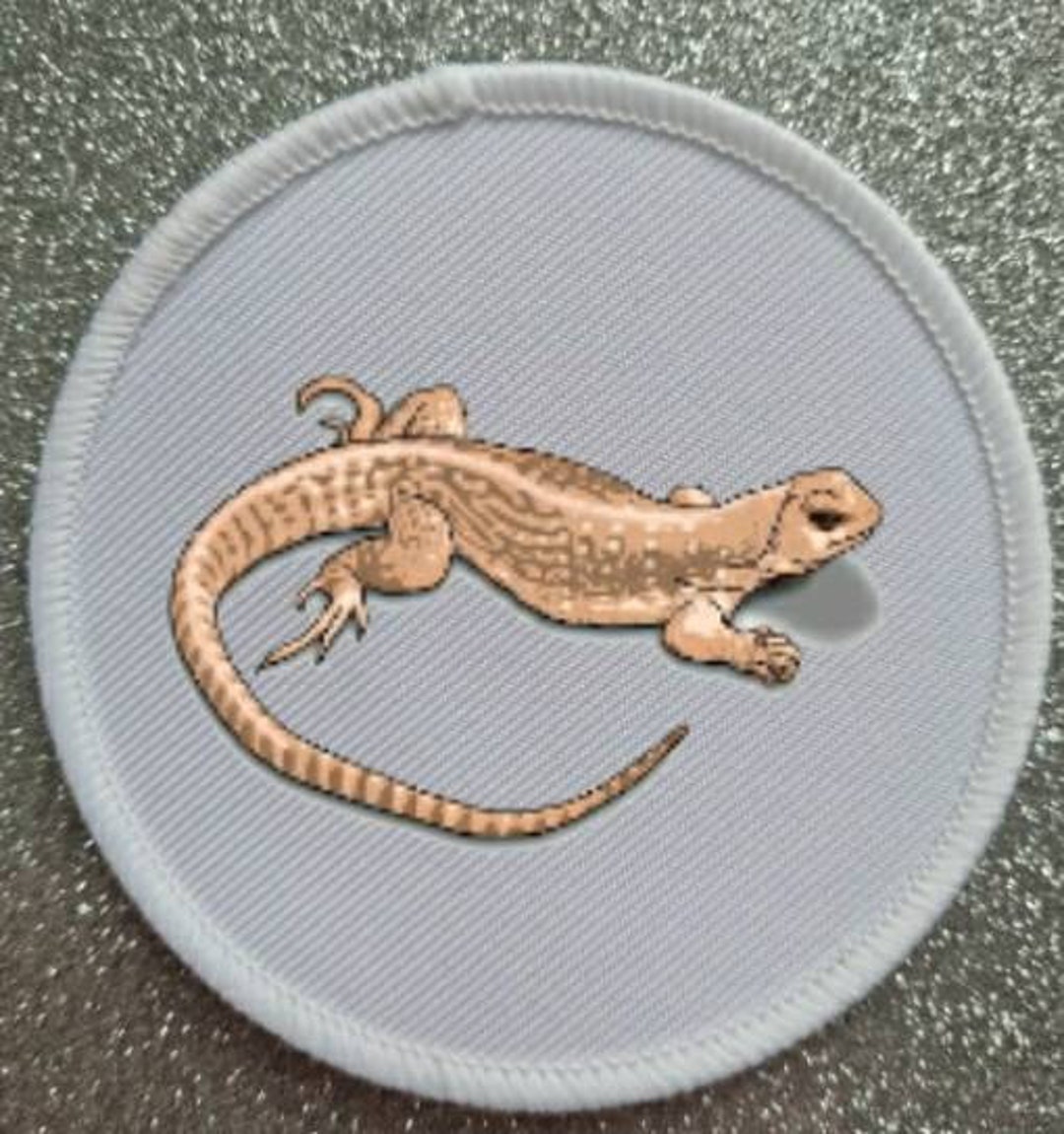 3 Inch Lizard Patch Badge - Etsy
