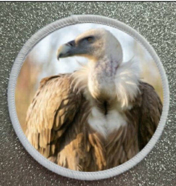 3 Inch Vulture Patch Badge - Etsy