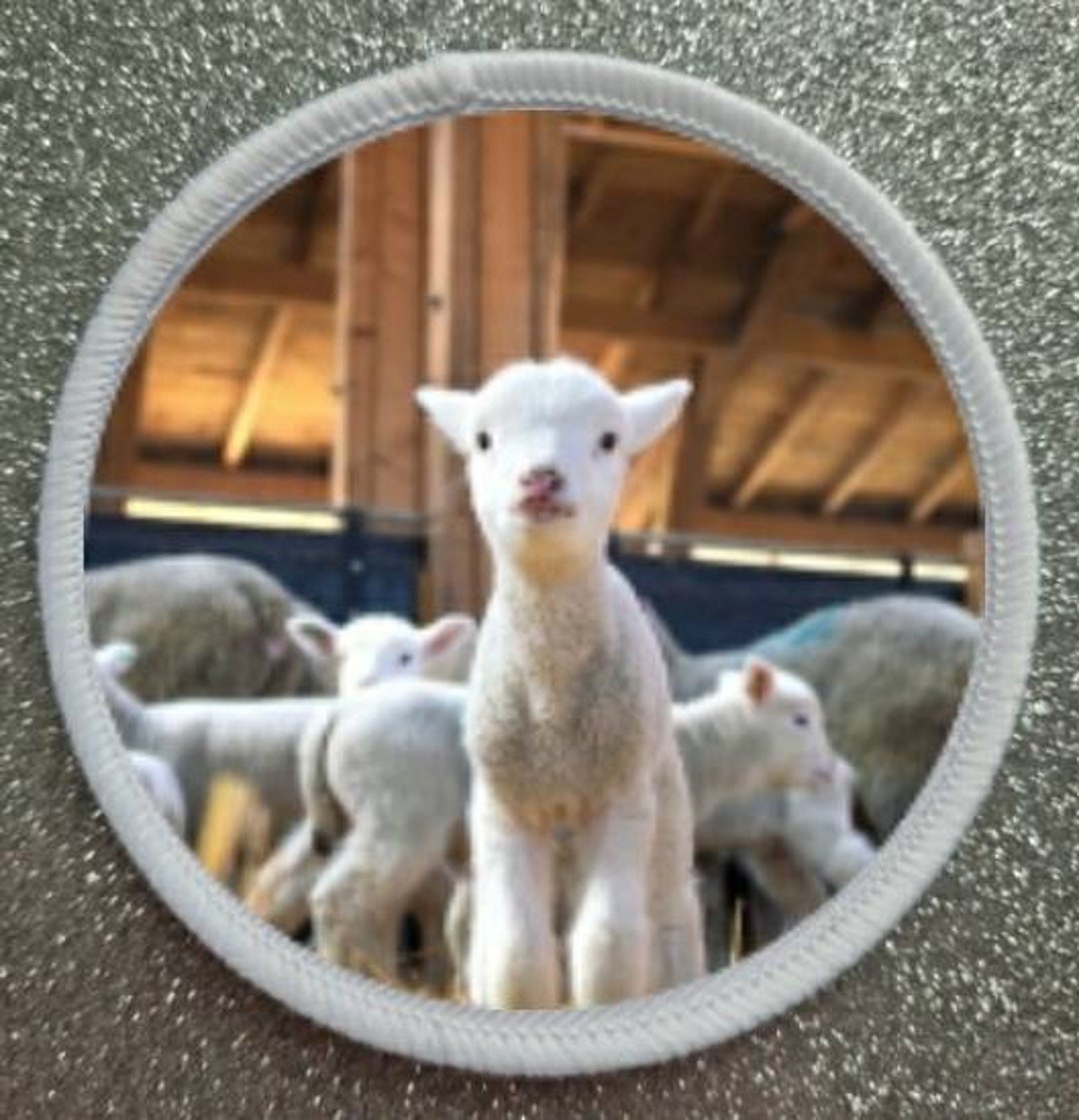 3 Inch Baby Lamb Patch Badge - Etsy