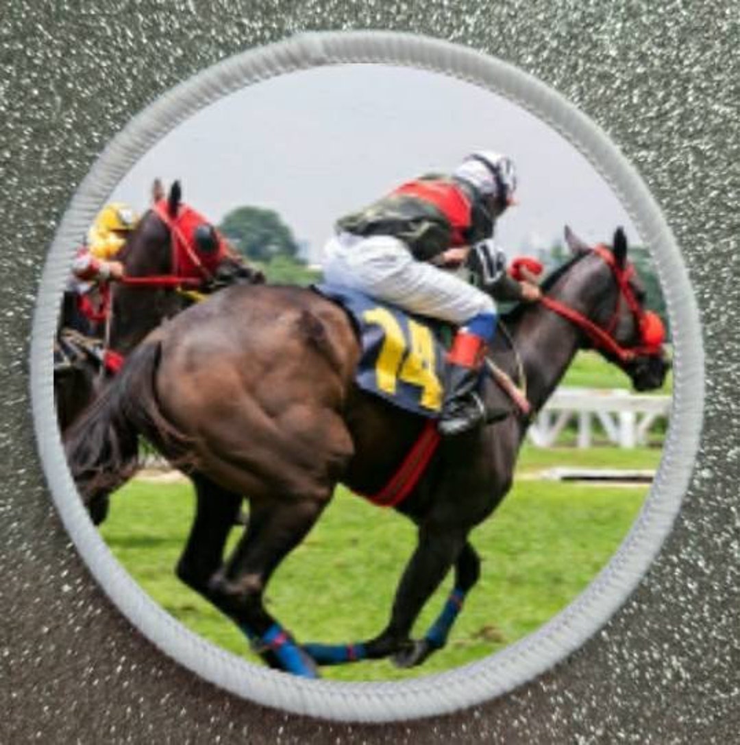 3 Inch Horse Racing Patch Badge - Etsy