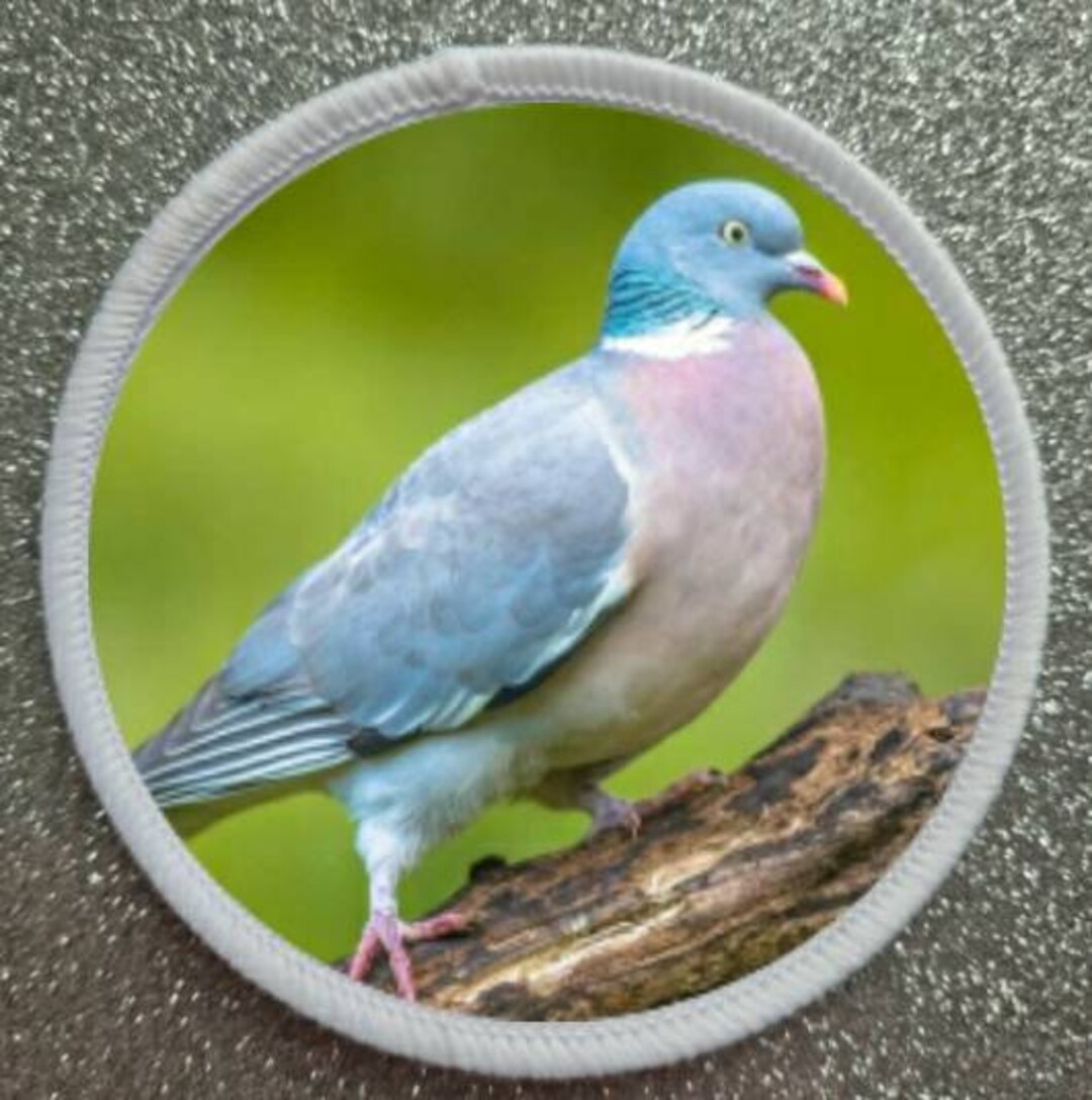 3 Inch Wood Pigeon Bird Patch Badge - Etsy