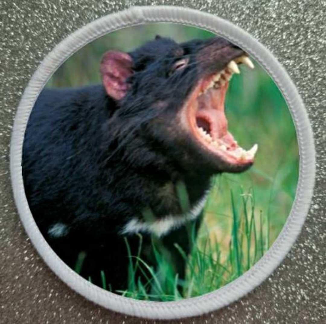 3 Inch Endangered Species Tasmanian Devil Patch Badge - Etsy