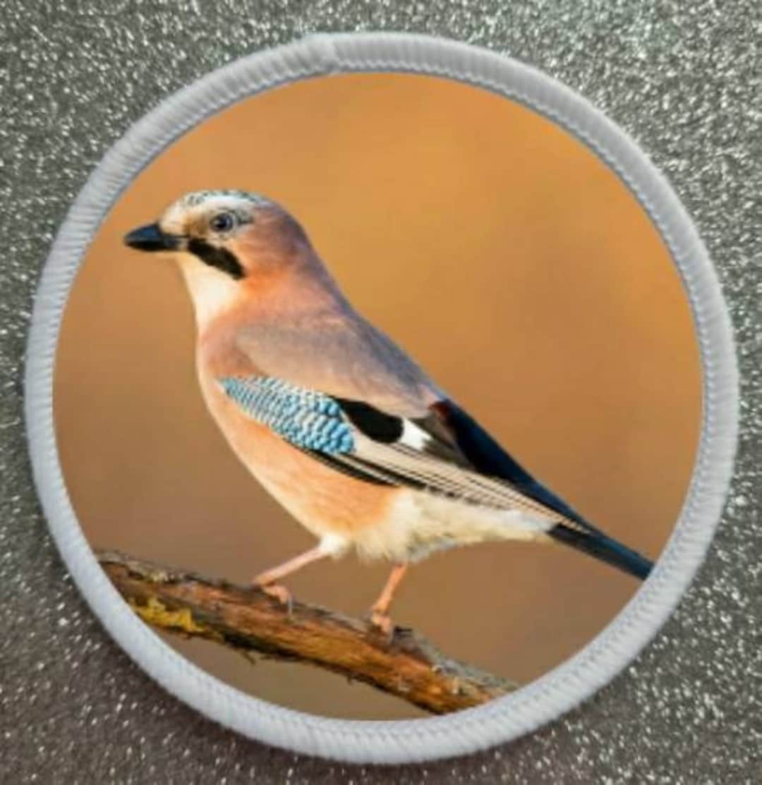 3 Inch Jay Bird Patch Badge - Etsy