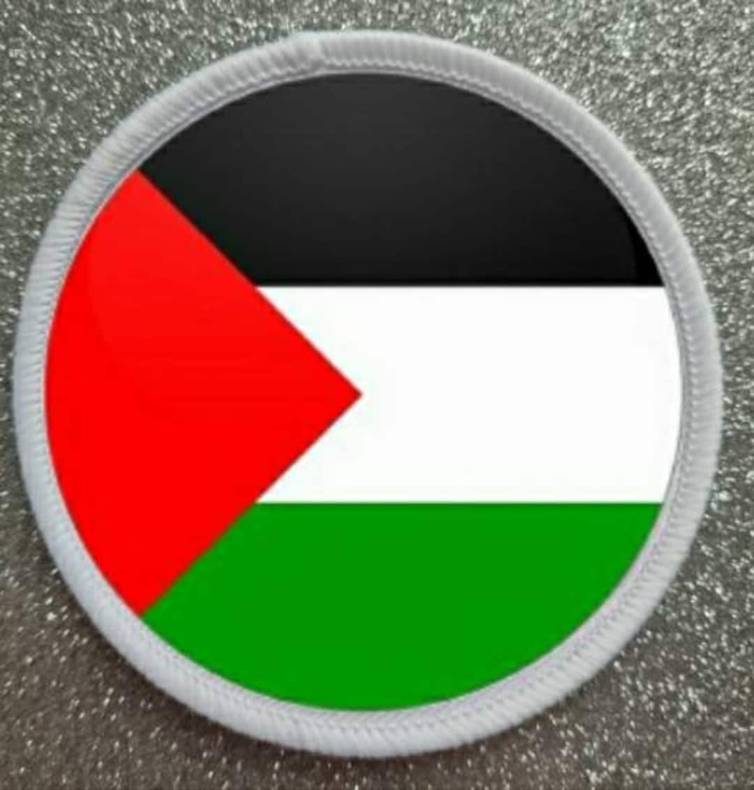 3 Inch Flag of Palestine Palestinian Patch Badge - Etsy
