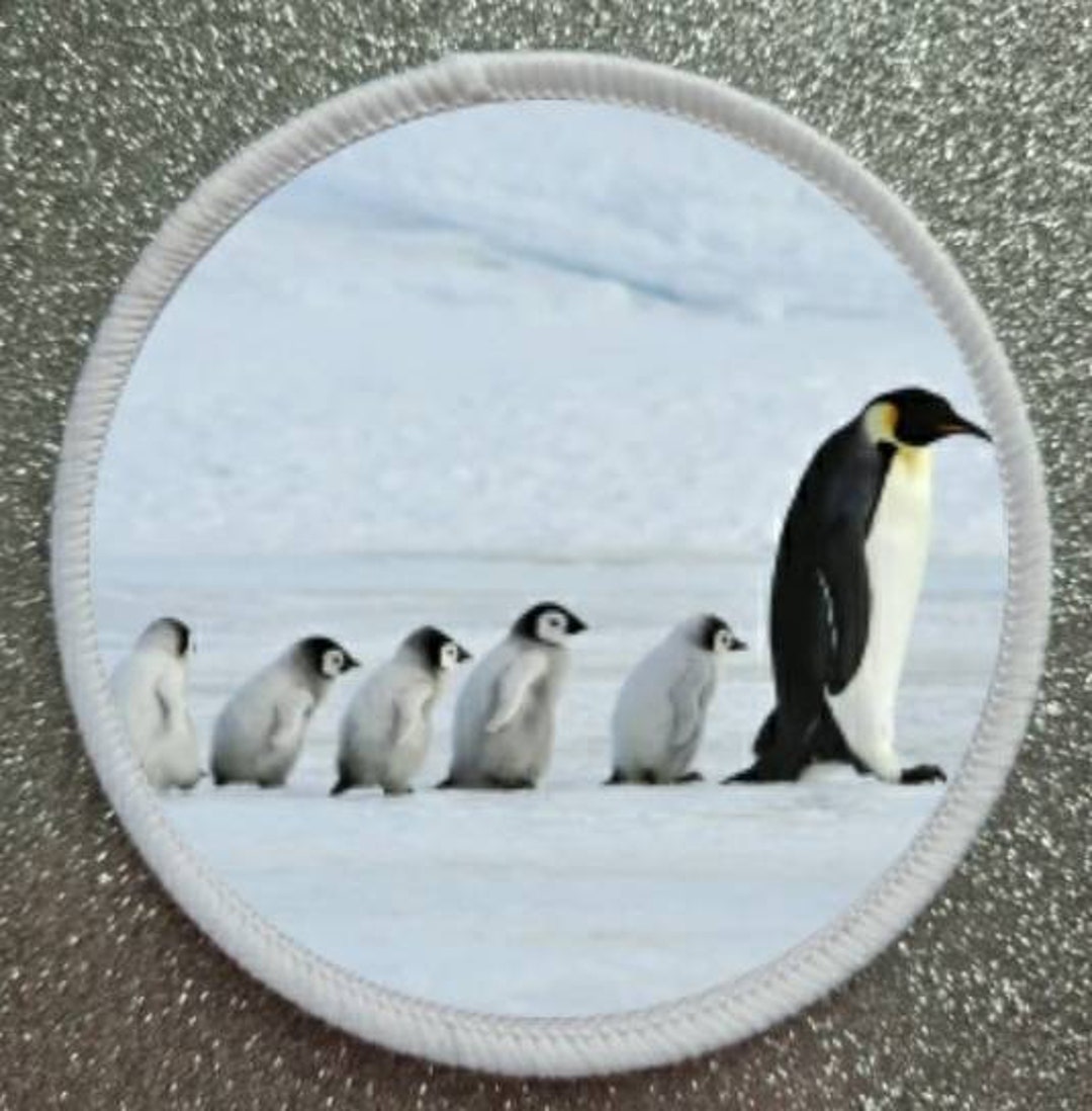 3 Inch Penguin Family Scene Patch Badge - Etsy