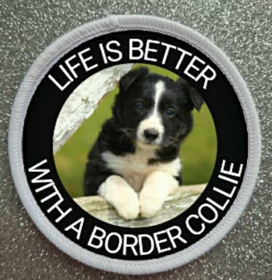 3 Inch Border Collie Dog Patch Badge. - Etsy
