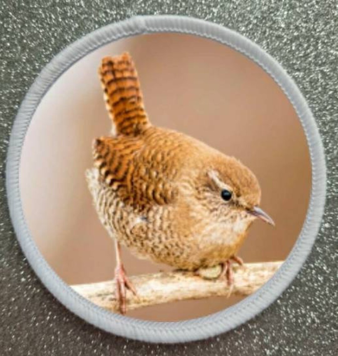 3 Inch Wren Bird Patch Badge - Etsy