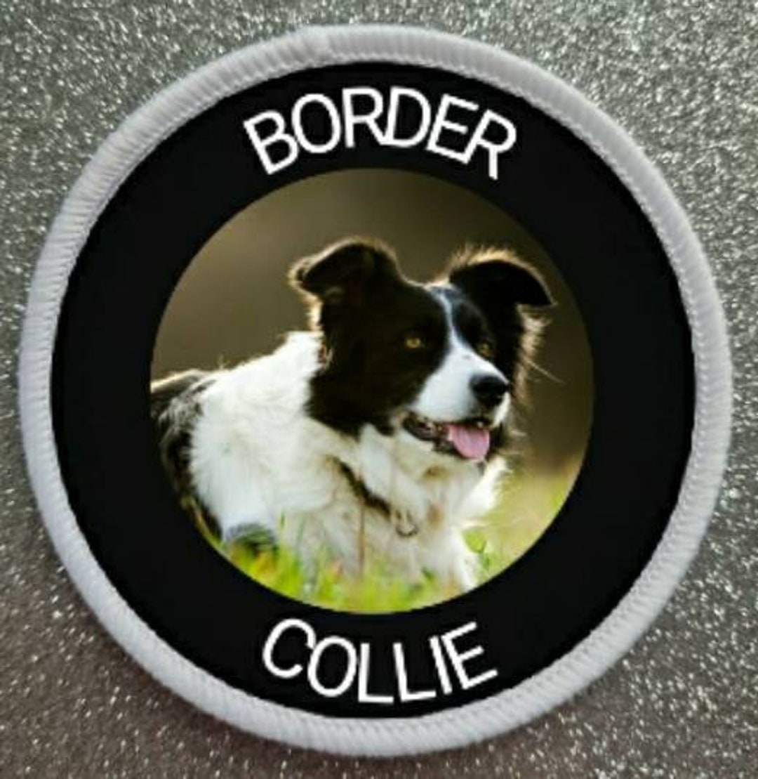 3 Inch Border Collie Dog Patch Badge. - Etsy
